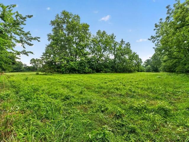 N Farm Road 53, Walnut Grove, MO 65770