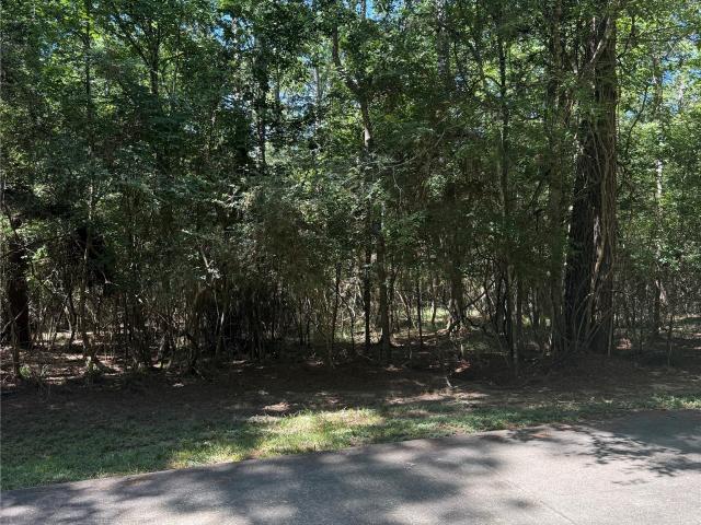 N Fm 350 Pebble Creek