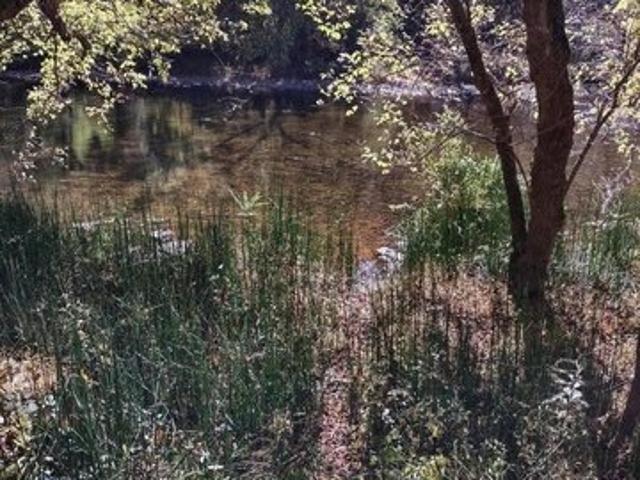 N Fork River Rd, Abingdon, VA 24210