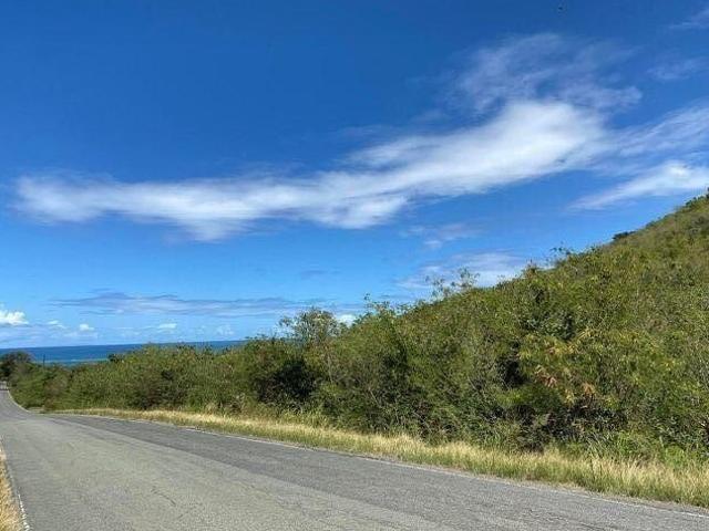 N Grapetree Eb, Saint Croix, Plot For Sale