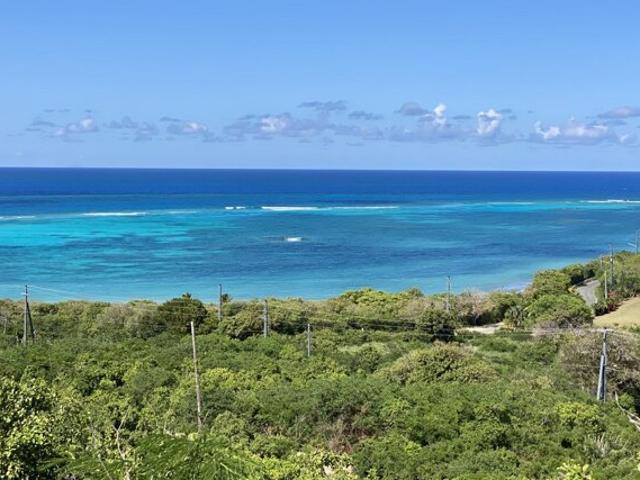 N Grapetree Eb, Saint Croix, Plot For Sale