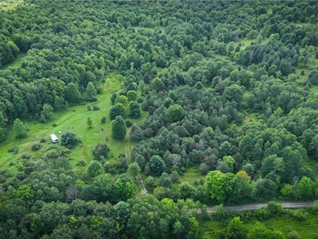 N Greenbush Rd, Erin, NY 14838