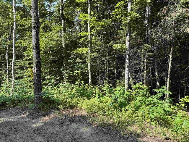 N Groton Rd, Groton, NH 03241