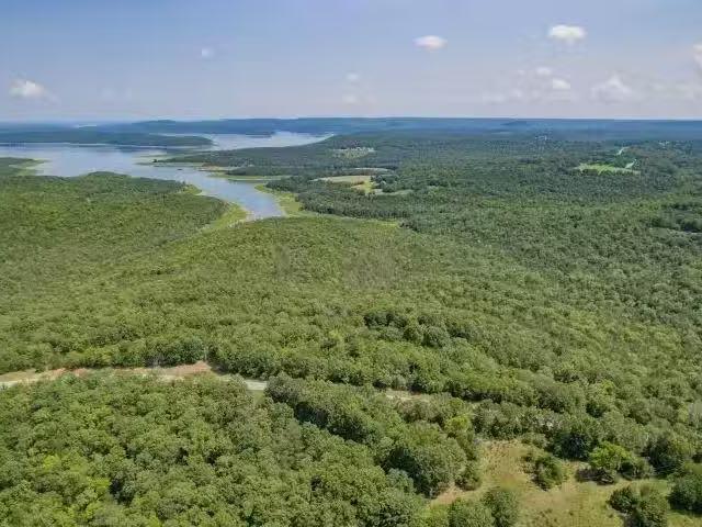N HWY 125, PEEL, AR 72668 Vacant Land For Sale MLS# 1284740