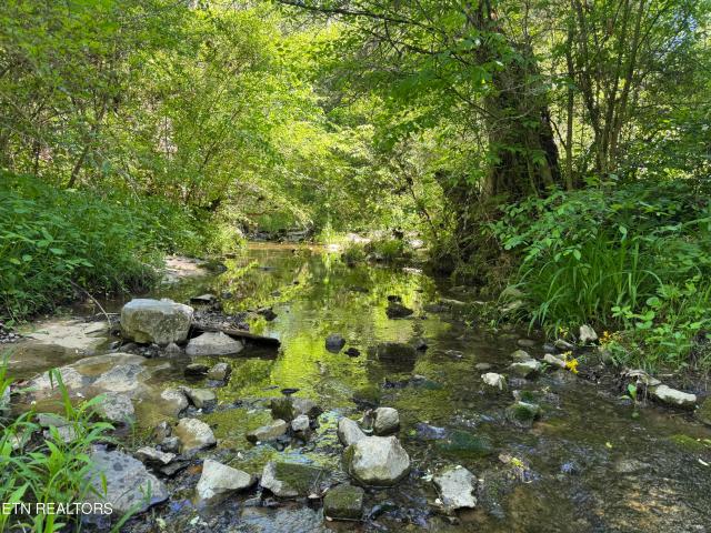 N Hwy 340, Parrottsville, TN 37843