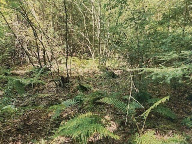 N Hatfield Rd Lot,hatfield, Plot For Sale