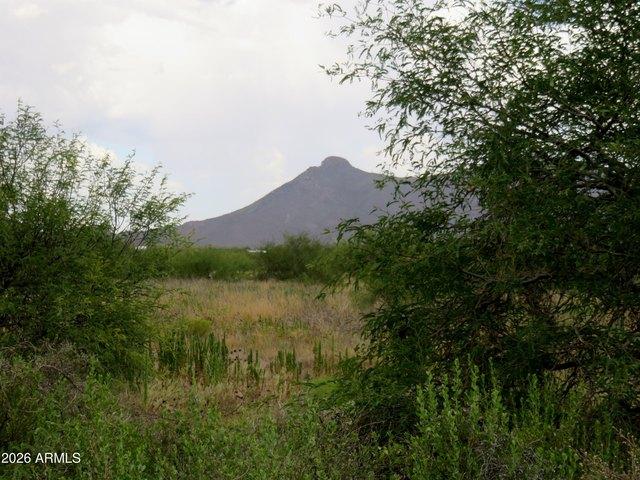 N Hermosillo Rd Unit 174, Douglas, AZ 85067