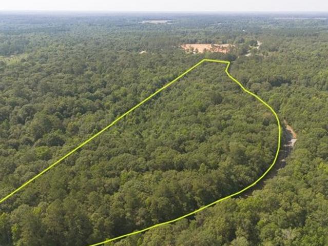 N Highway 188, Cairo, GA 39828
