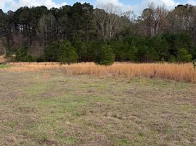 N Highway 43, Pelahatchie, MS 39145