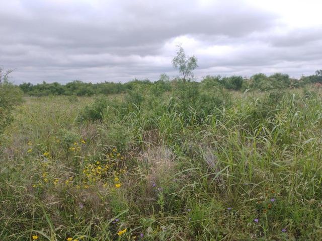 N Highway 87 Us Lot 5030, San Angelo, TX 76901