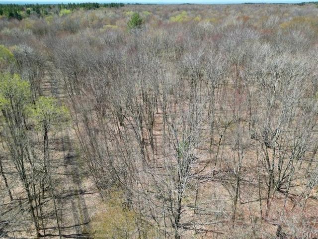 N Hillsborough Rd, Camden, NY 13316