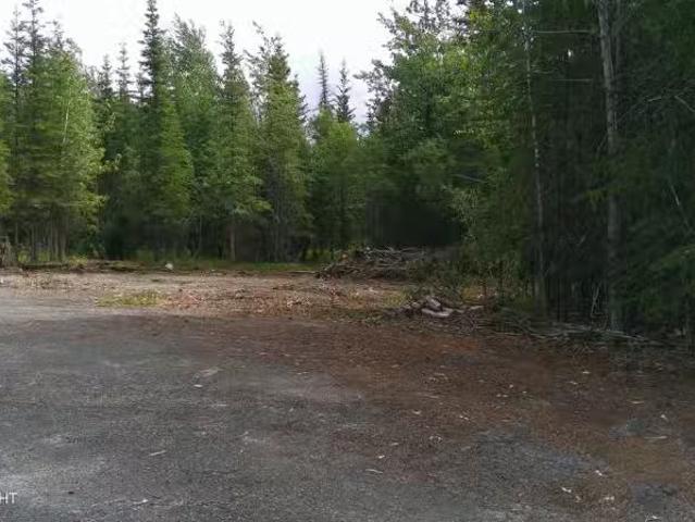 n HN PARKS HWY, DENALI NATIONAL PARK, AK 99755 Vacant Land For.