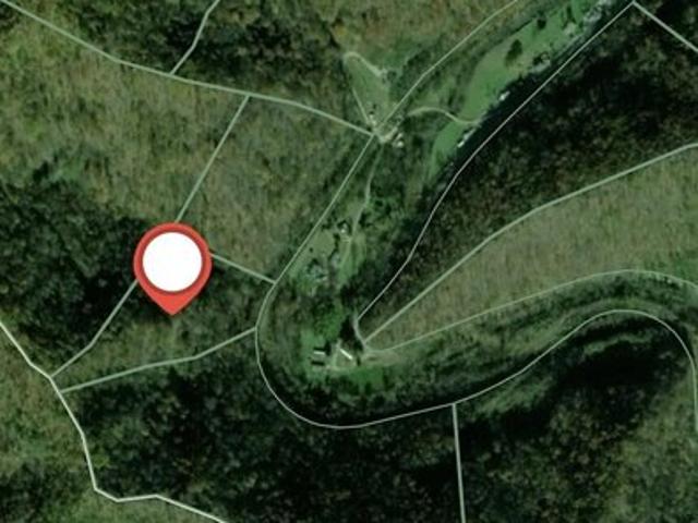 N Holly Dr, Belfry, KY 41514