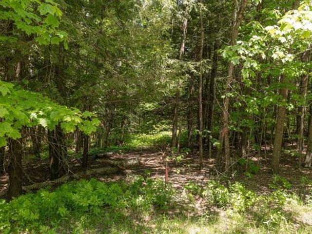 N Hollow Rd, Stowe, Plot For Sale