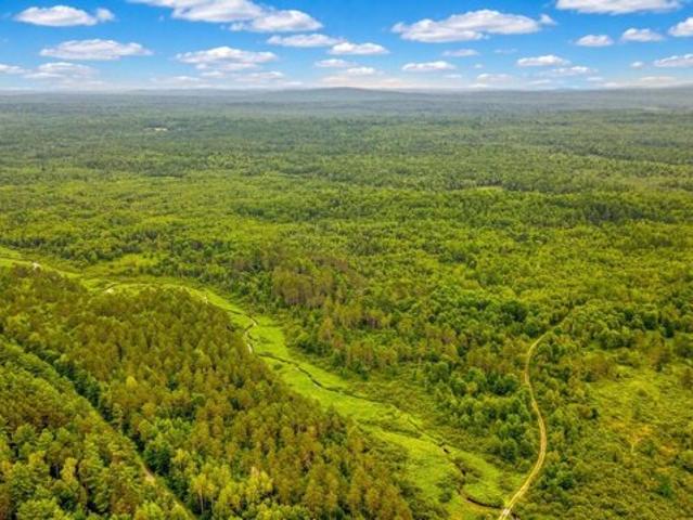 N Horseback Rd Lots And A, Burnham, Plot For Sale