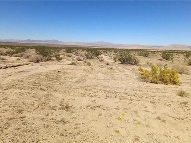 N Joshua Tree Rd, Johnson Valley, CA 92285