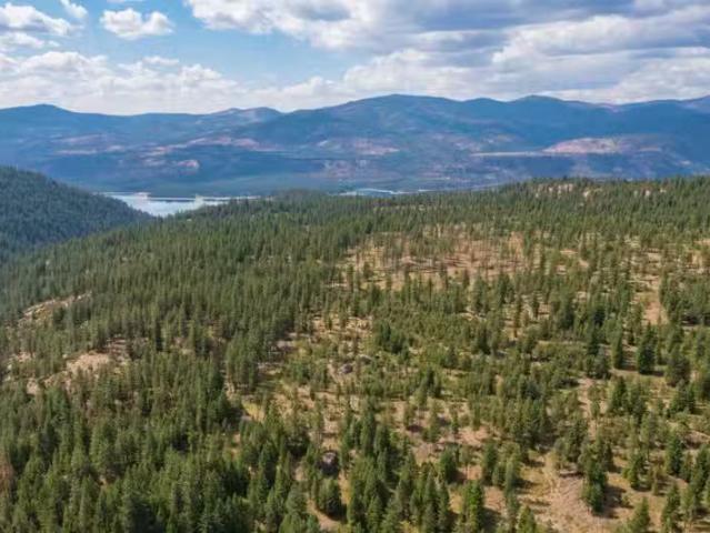 n KA CASTLE ROCK CREEK 80 ACRES RD, FRUITLAND, WA 99129 Vaca.