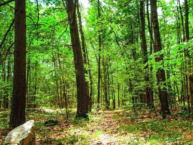 N King St, Northampton, Plot For Sale