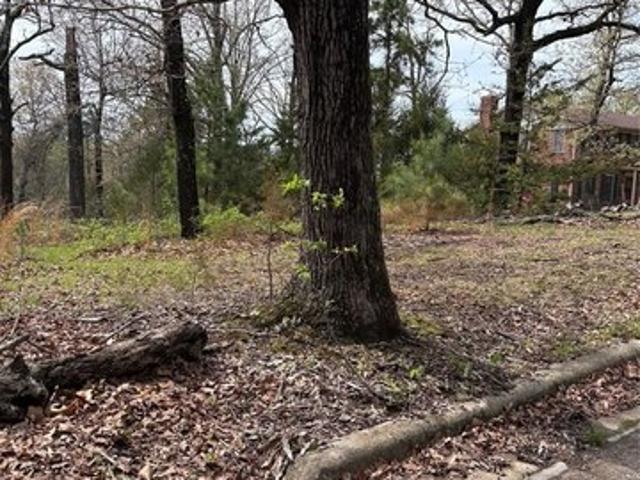 N Lakewood Dr Lot 9, Lowell, AR 72745
