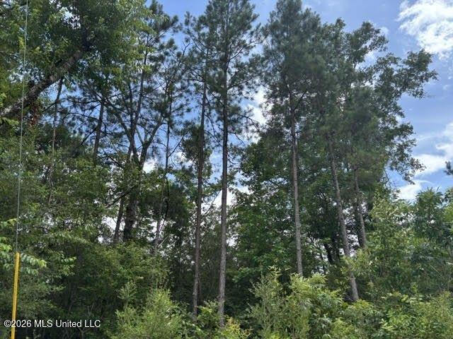 N Lela Dr, Magnolia, MS 39652