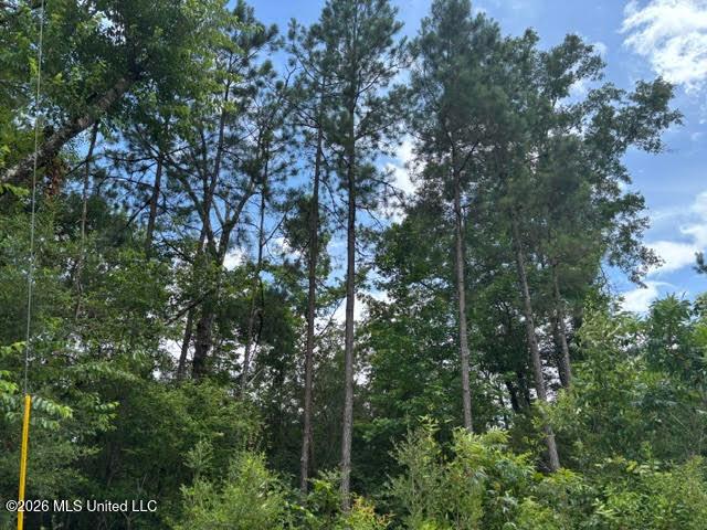 N Lela Drive, Magnolia, MS 39652