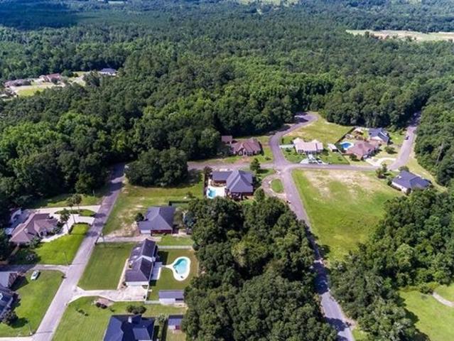 N Lincoln St, Geneva, AL 36340