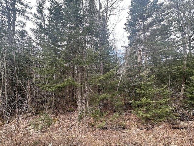 N Littleton Rd, Littleton, Plot For Sale