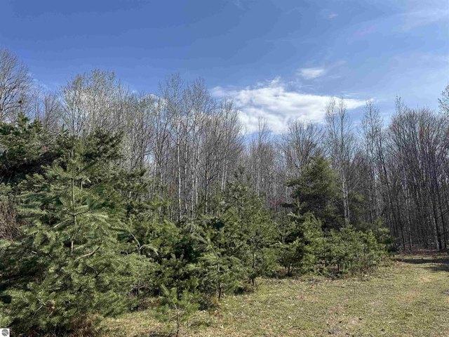 N Loomis Rd, Clare, MI 48617