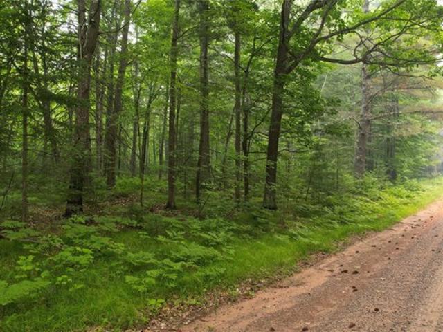 N Loop Rd, Drummond, WI 54832