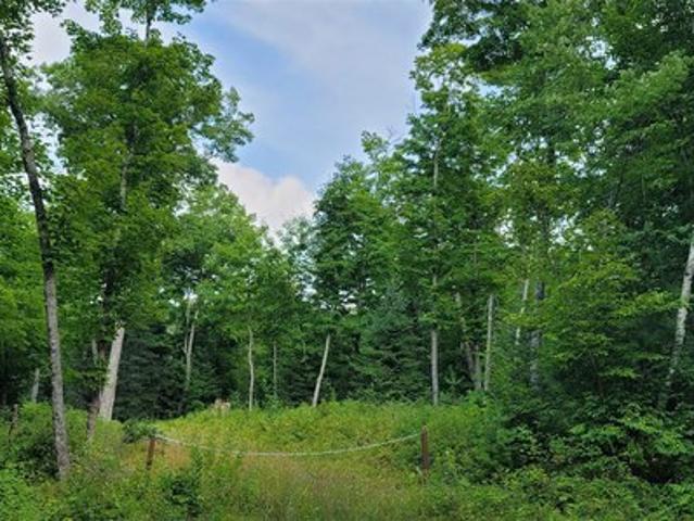 N Lower Twin Lk, Hayward, WI 54843