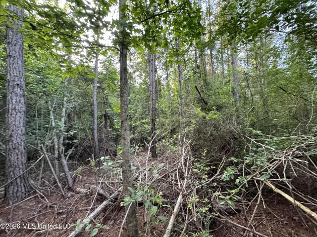 N Lot 1 River Road, Summit, MS 39666