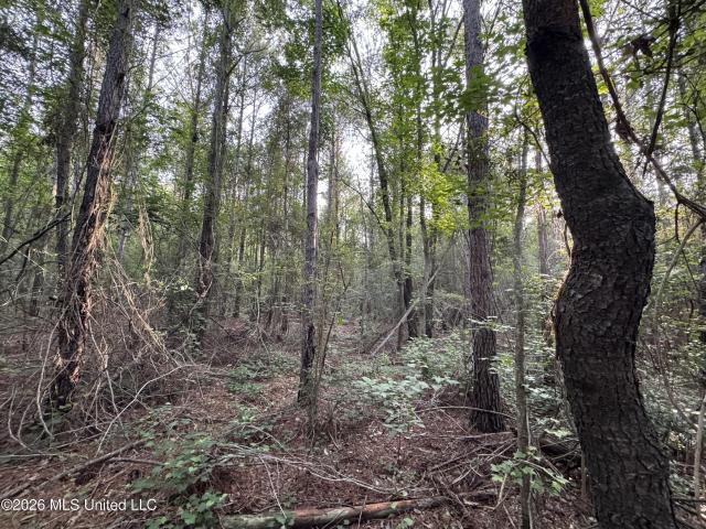 N Lot 2 River Road, Summit, MS 39666