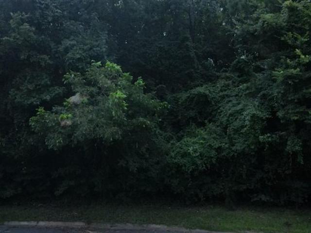 N Park Dr, Arkadelphia, AR 71923