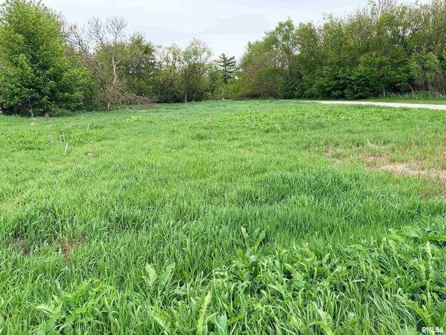 N Radnor Rd, Peoria, IL 61615