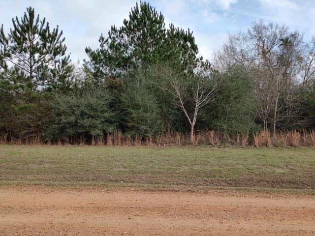 N Resort Drive, Lumberton, MS 39455