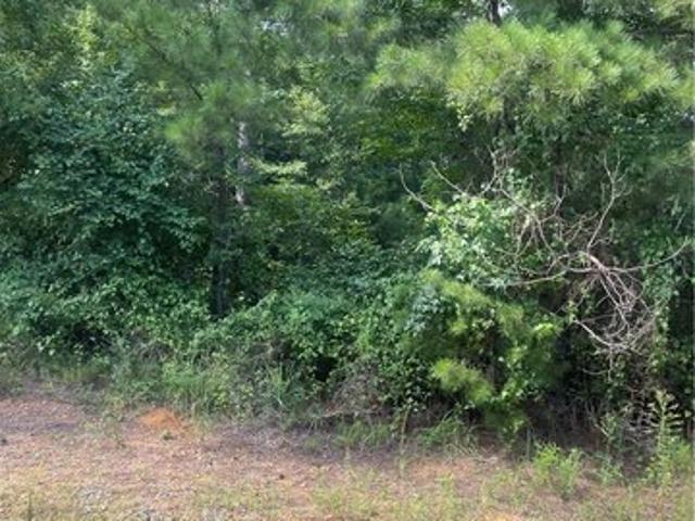 N River Ln, Northport, AL 35475