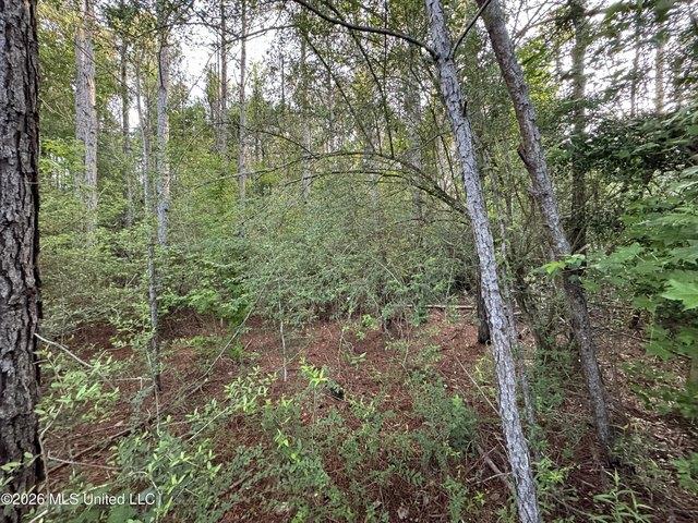 N River Rd Lot 1, Summit, MS 39666