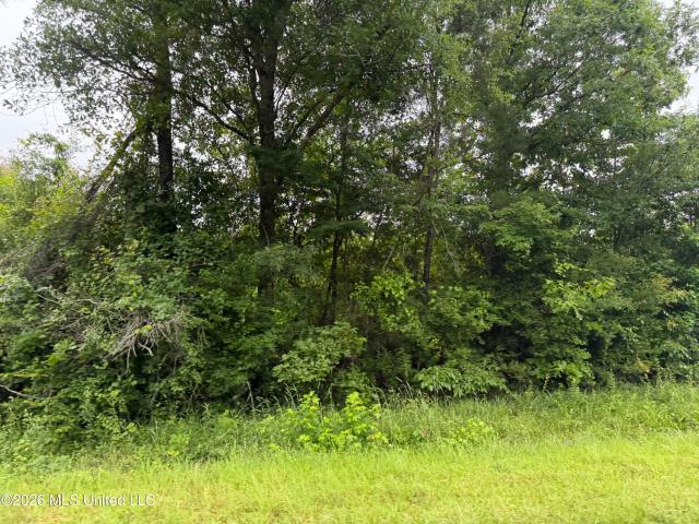 N River Road, Summit, MS 39666