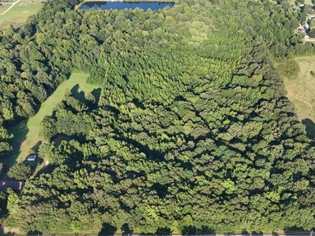 N Rockingchair Rd, Paragould, AR 72450