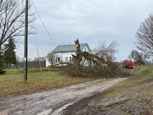 N Rolland Rd
