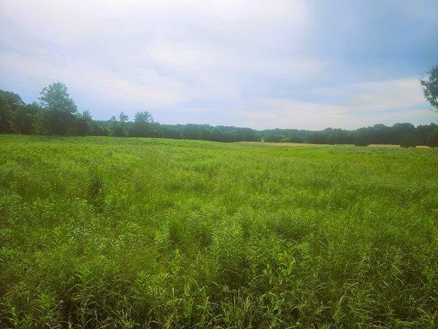 N Stanford Ln, Opdyke, IL 62872