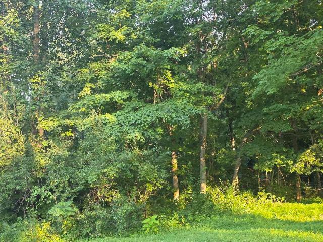 N State Road 550 Road