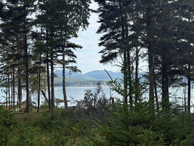 N Sutton Is Lot, Cranberry Isles, Plot For Sale