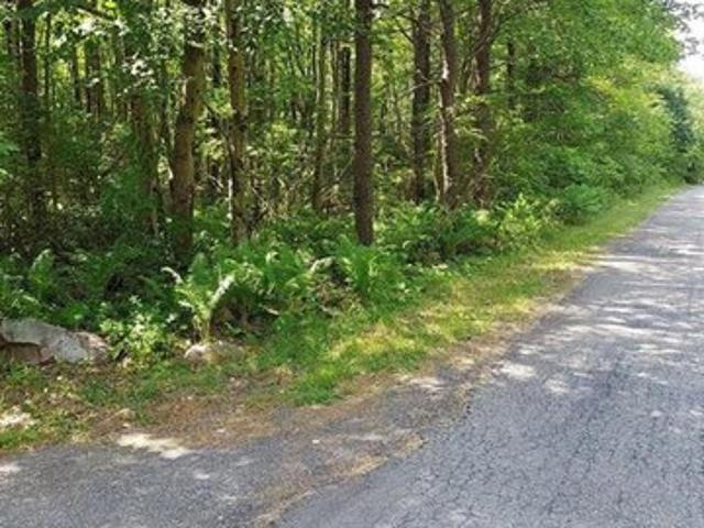 N Sycamore and Lauren Dr, Jim Thorpe, PA 18229