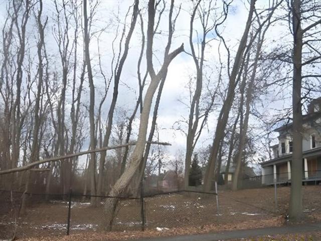 N S Worthington St Lot,springfield, Plot For Sale