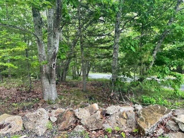 N Shore Dr, Owls Head, Plot For Sale