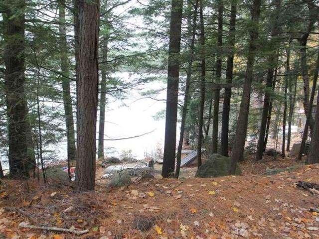 N Shore Rd, Sunapee, Plot For Sale