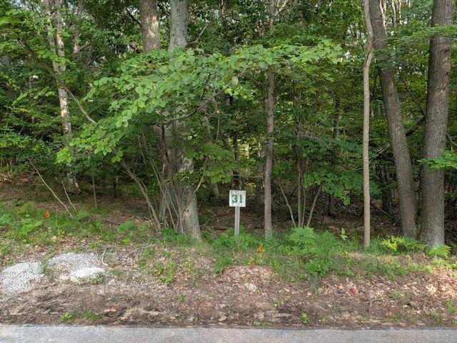 N Silver Ridge Rd Lot 31, Mears, MI 49436