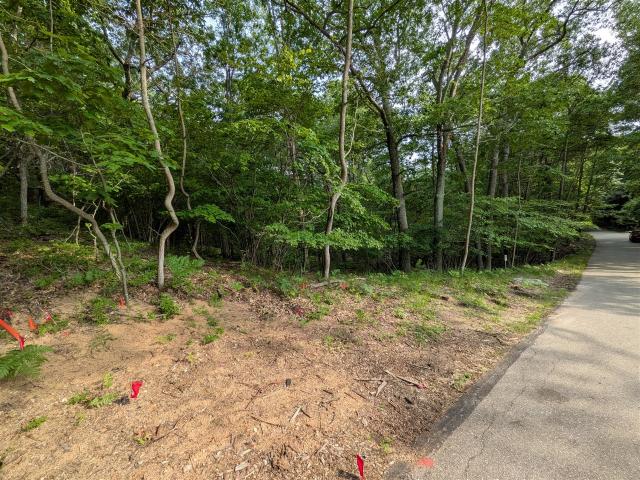 N Silver Ridge Road # Lot 31