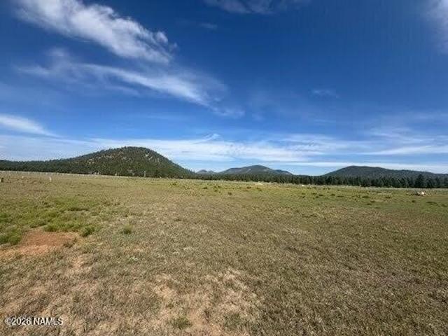 N Spring Valley Rd Lot 36, Parks, AZ 86018